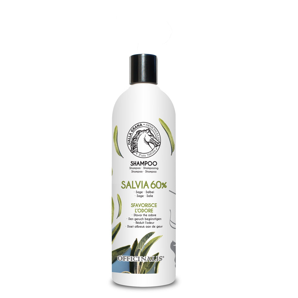 Shampoo Salvia – Officinalis Horses